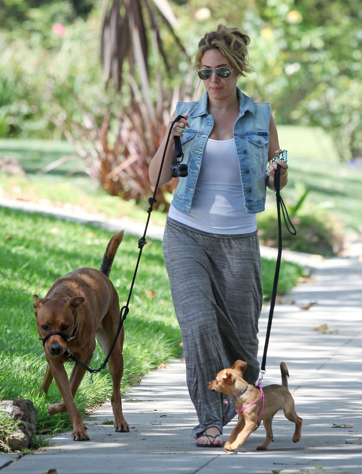 Photo : Haylie Duff promène ses chiens, Los Angeles, le 2 aout 2012 ...