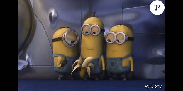 Les Minions : Cinq choses à savoir sur les stars du box-office - Purepeople