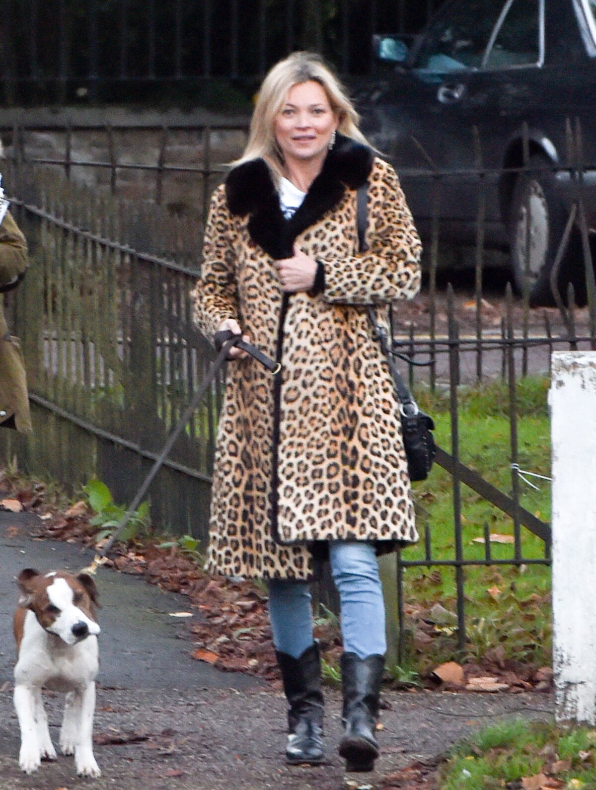 Photo : Exclusif - Kate Moss, son chien Archie (le Bull Terrier de son ...