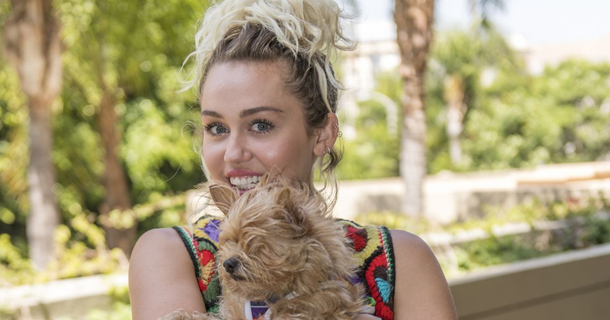 Miley Cyrus en conférence de presse pour la série tv Crisis in Six ...