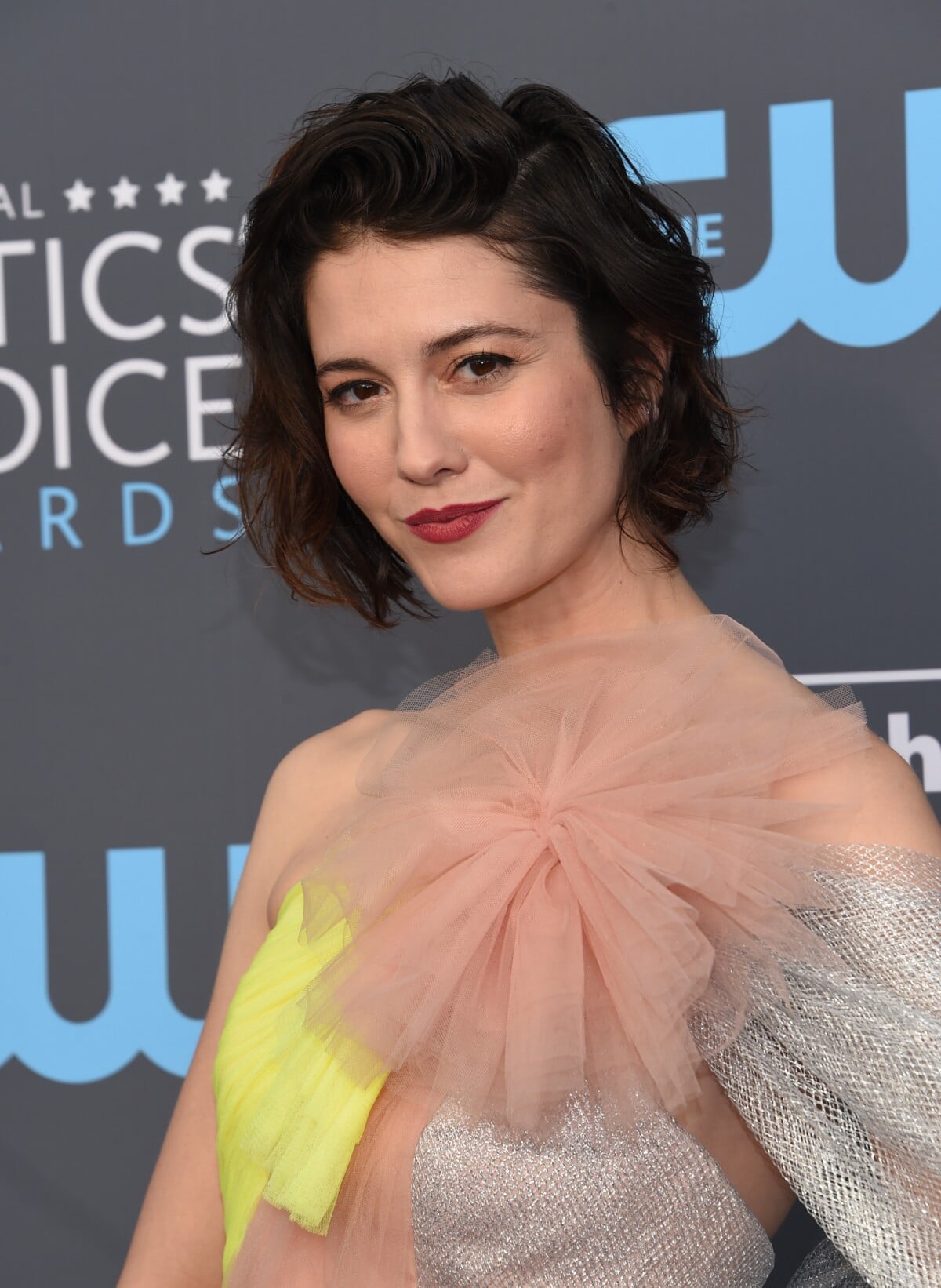 Photo : Mary Elizabeth Winstead lors des "23ème Critics Choice Awards ...