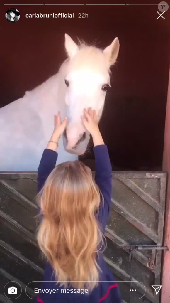 Vidéo : Giulia Sarkozy caresse un poney à Marrakech sous le regard de ...