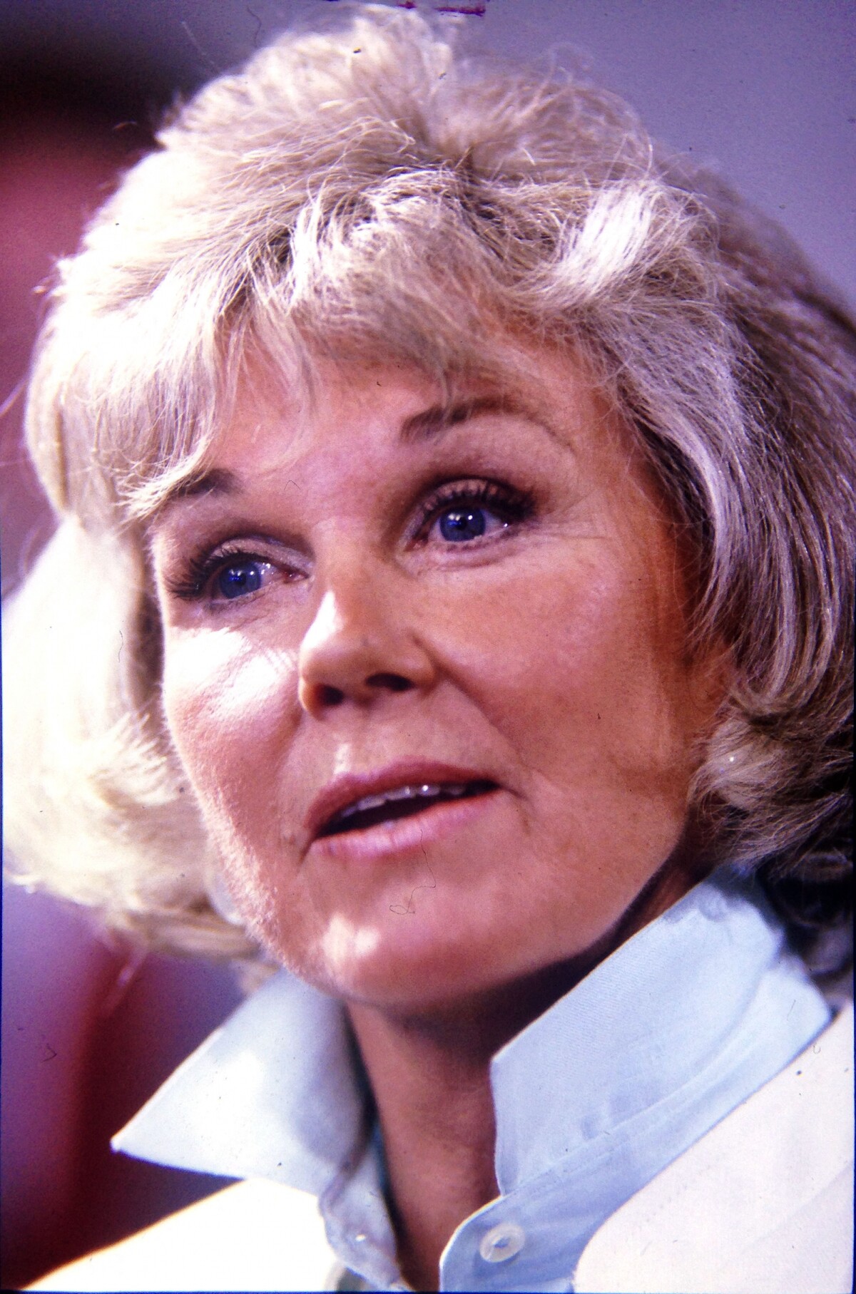 Photo : Doris Day en 1985 - Purepeople