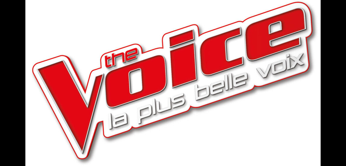 Photo : Logo The Voice - Purepeople