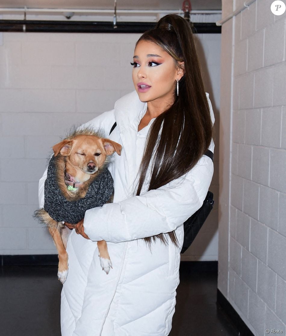Ariana Grande et son chien Toulouse, en backstage du Sweetener Tour ...