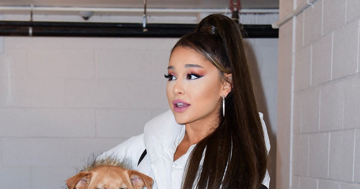 Ariana Grande et son chien Toulouse, en backstage du Sweetener Tour ...