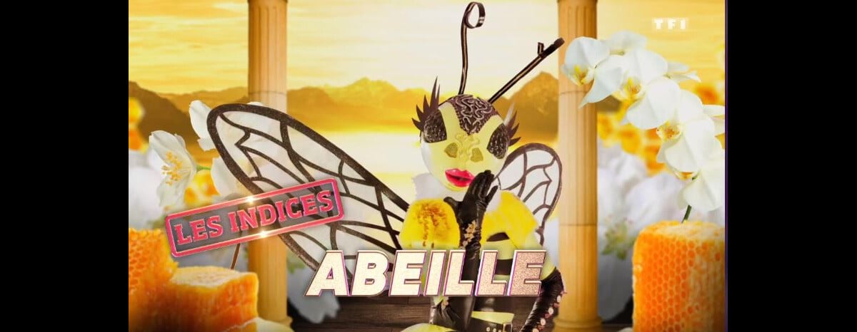 Vidéo : Mask Singer : Joyce Jonathan était cachée dans le costume de l ...