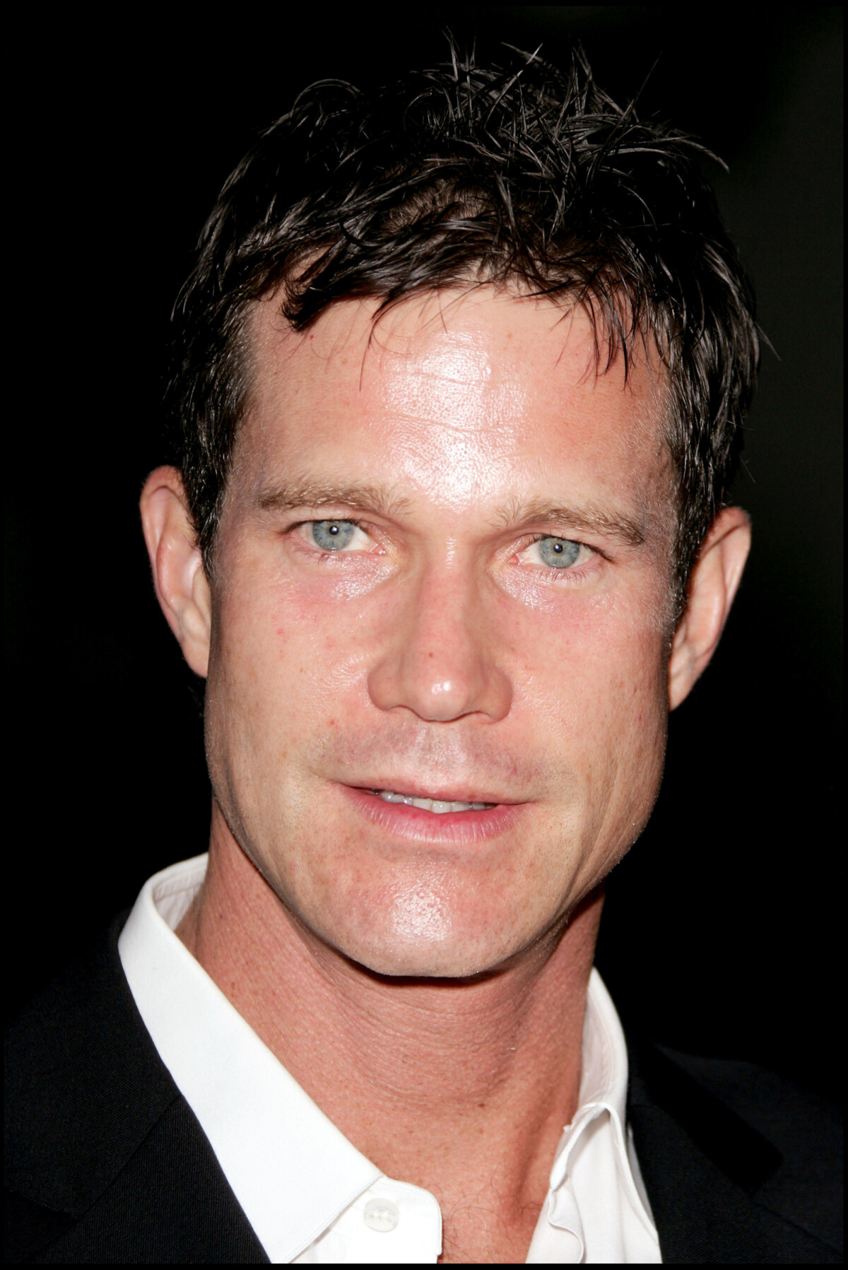 Photo : Dylan Walsh - Première de la 4e saison de la série "Nip/Tuck ...