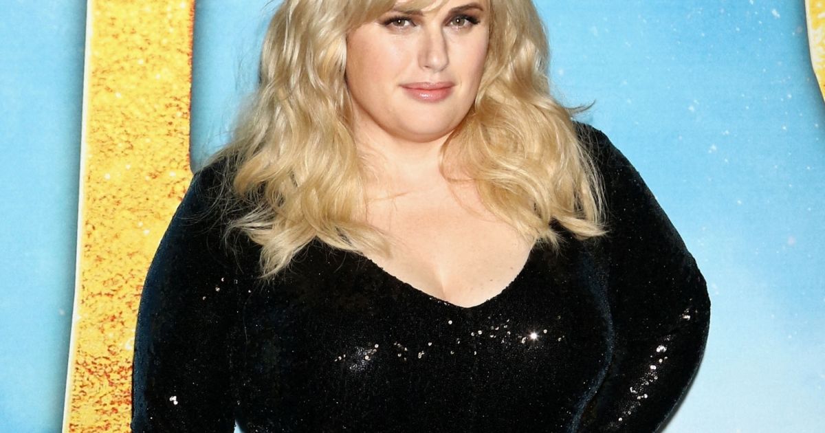 Rebel Wilson à la première de Cats au Lincoln Center à New York ...