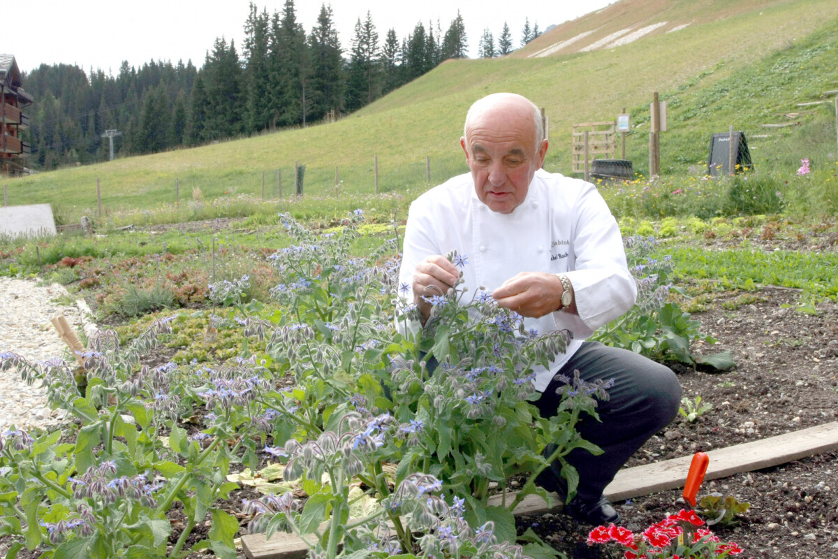 Photo : courchevel 7/09/2011. Exclusif Michel Rochedy ( 2 etoiles ...