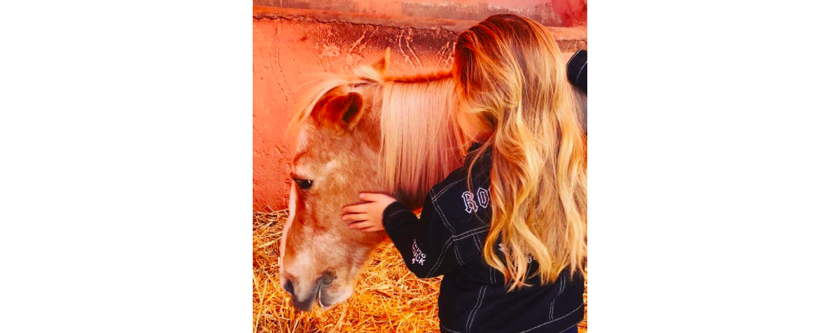 Photo : Giulia Sarkozy et son poney - Photo publiée sur le compte ...