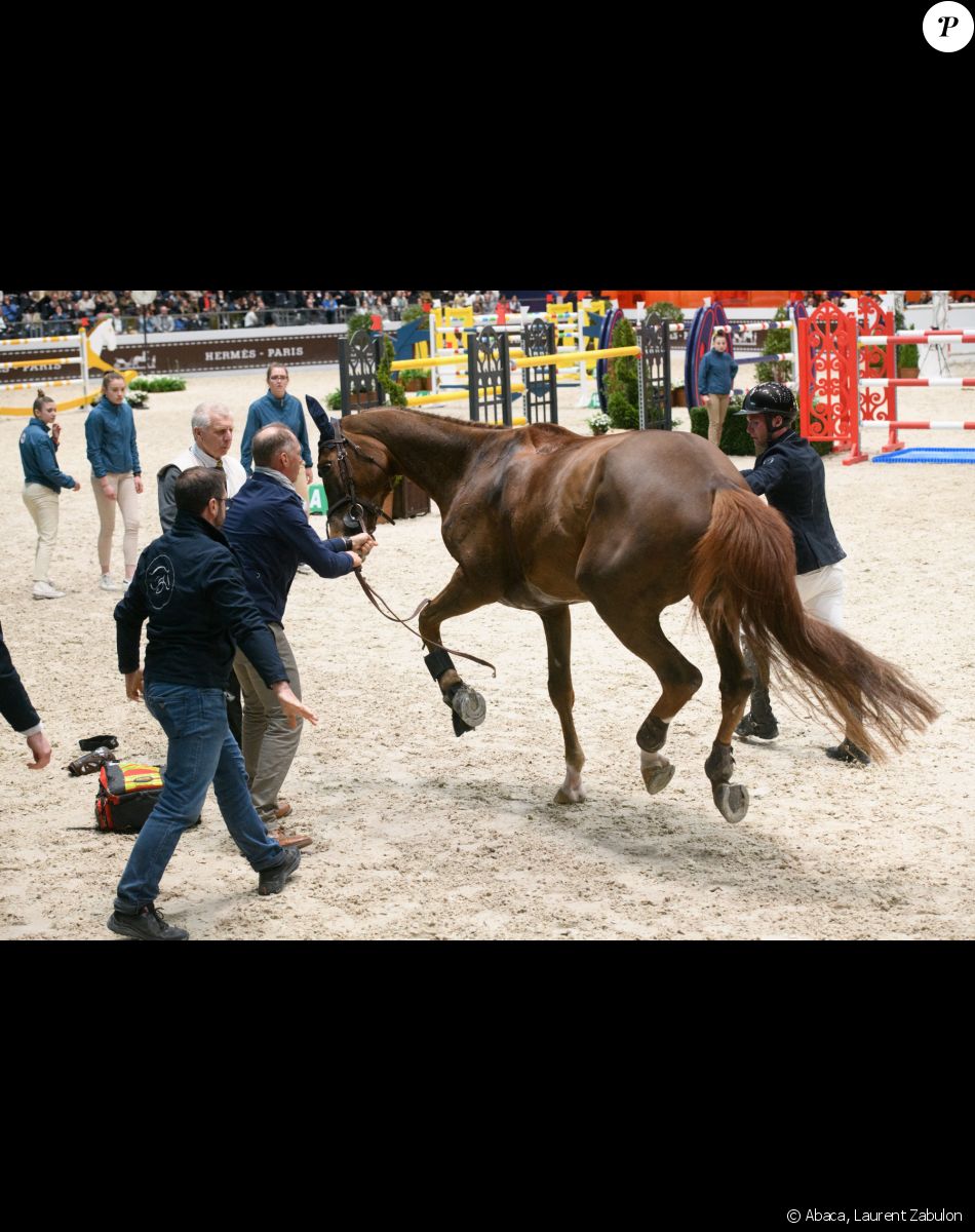 Bryan Balsiger se fait une belle frayeur : expulsé de son cheval, des ...