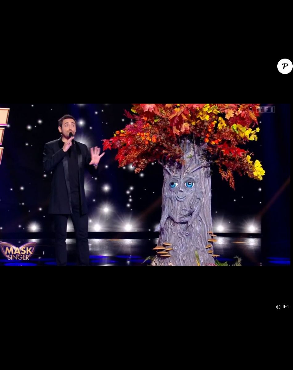 Mask Singer saison 3 - l'Arbre démasqué, découvrez qui se cachait ...