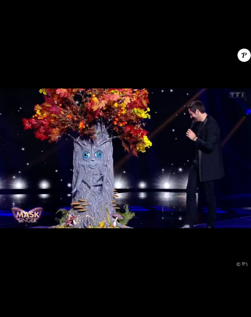 Mask Singer saison 3 - l'Arbre démasqué, découvrez qui se cachait ...