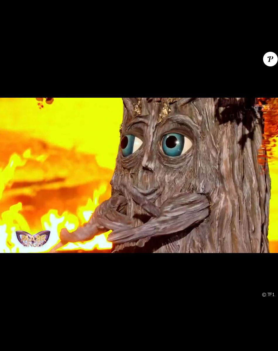 Mask Singer saison 3 - l'Arbre démasqué, découvrez qui se cachait ...