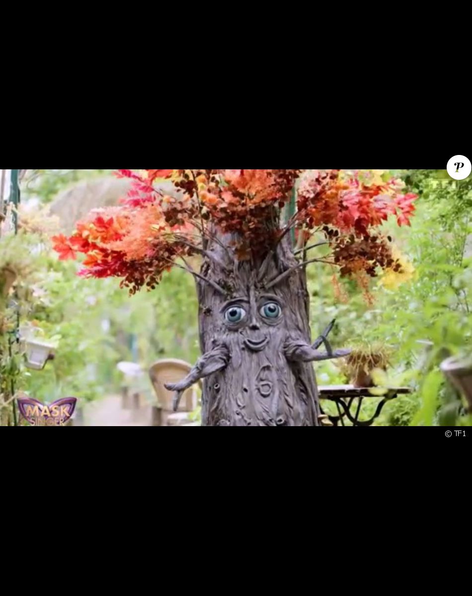 Mask Singer saison 3 - l'Arbre démasqué, découvrez qui se cachait ...