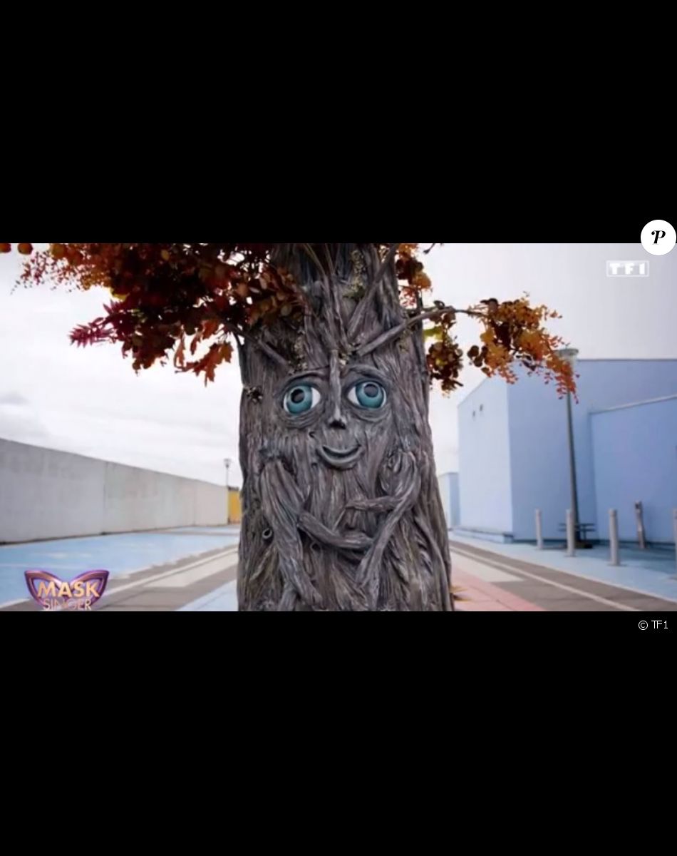 Mask Singer saison 3 - l'Arbre démasqué, découvrez qui se cachait ...