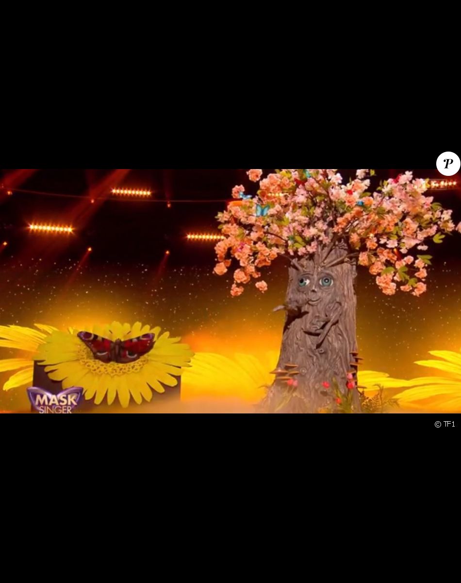 Mask Singer saison 3 - l'Arbre démasqué, découvrez qui se cachait ...