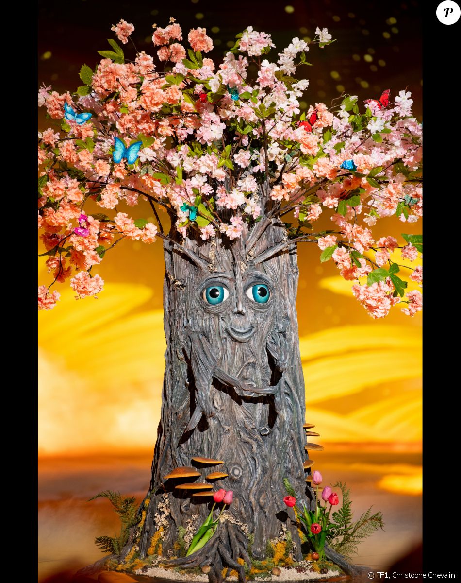 Mask Singer saison 3 - l'Arbre démasqué, découvrez qui se cachait ...