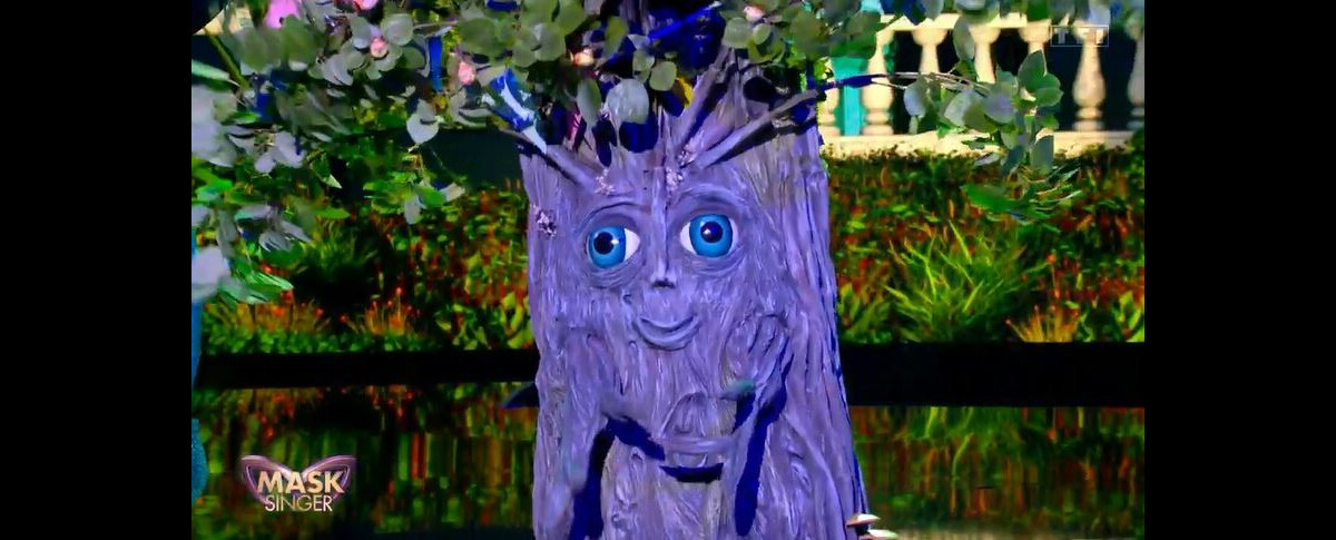 Photo : L'Arbre lors de l'émission "Mask Singer 2022" du 15 avril sur ...