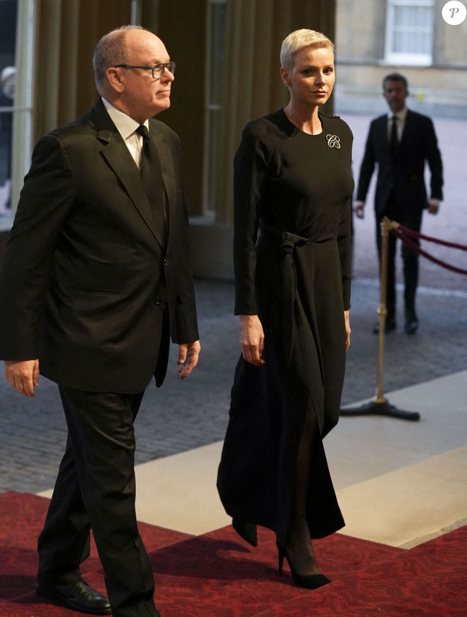 Prince Albert and Princess Charlene of Monaco at a reception held by ...