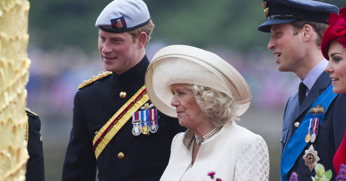 Prince Harry : Sa relation difficile avec sa belle-mère Camilla, tous ...
