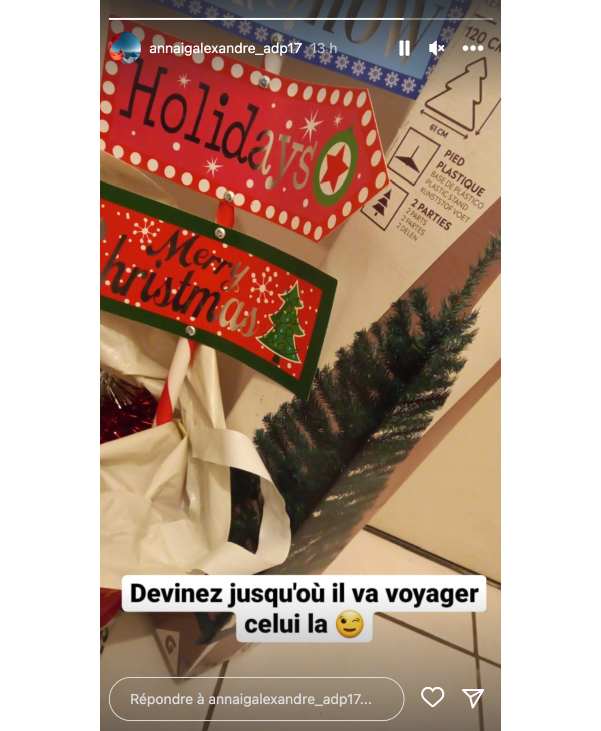 Photo : Annaïg sur Instagram - Purepeople