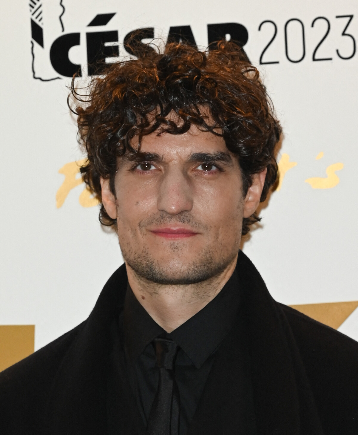 Photo : Louis Garrel est "catastrophé" après l'arrestation de son ...