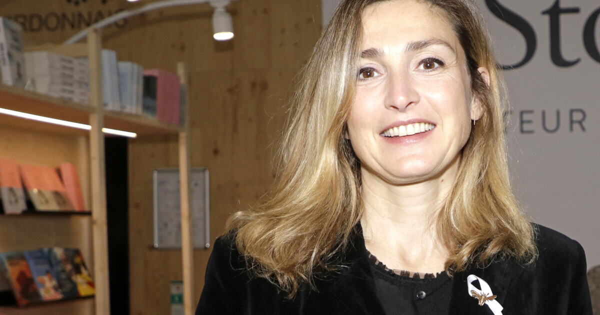 Julie Gayet maman de deux grands garçons : rares photos de ses "geeks ...