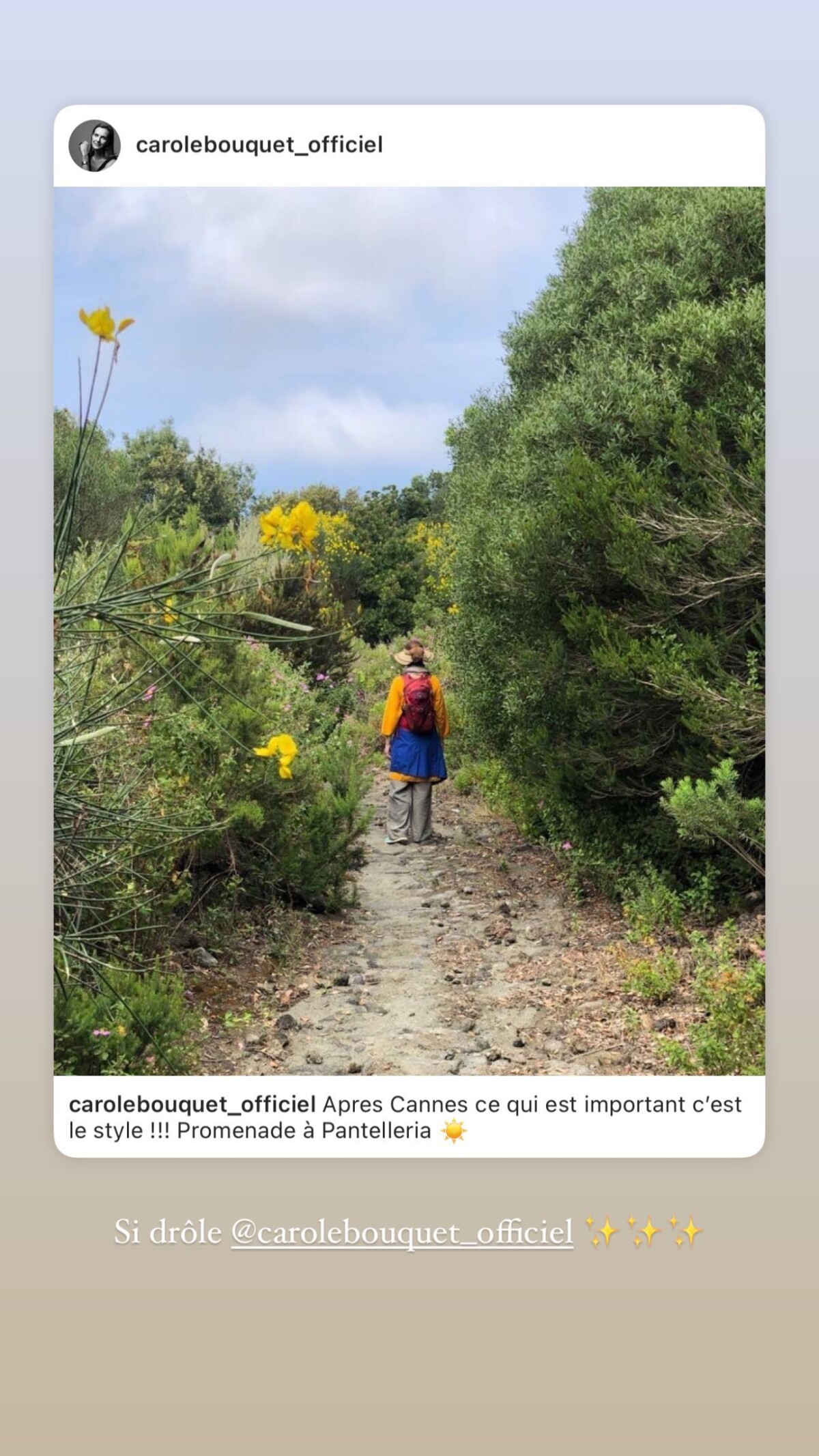 Photo Une Image Qui A Bien Fait Rire Carla Bruni Purepeople