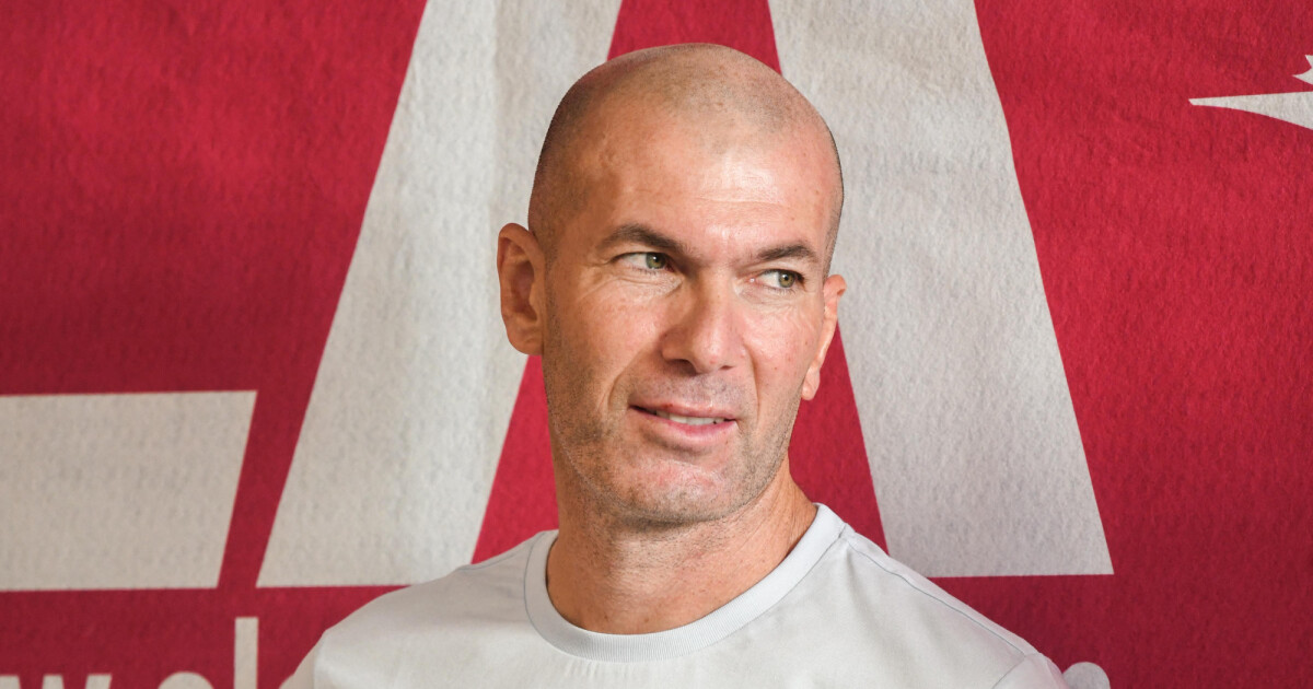 "Appartement avec tout petit jardin" : Zinedine Zidane et les coulisses ...