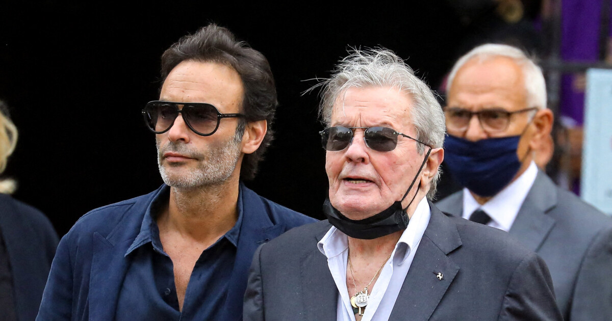 Plainte des enfants d'Alain Delon contre Hiromi Rollin : une enquête ...