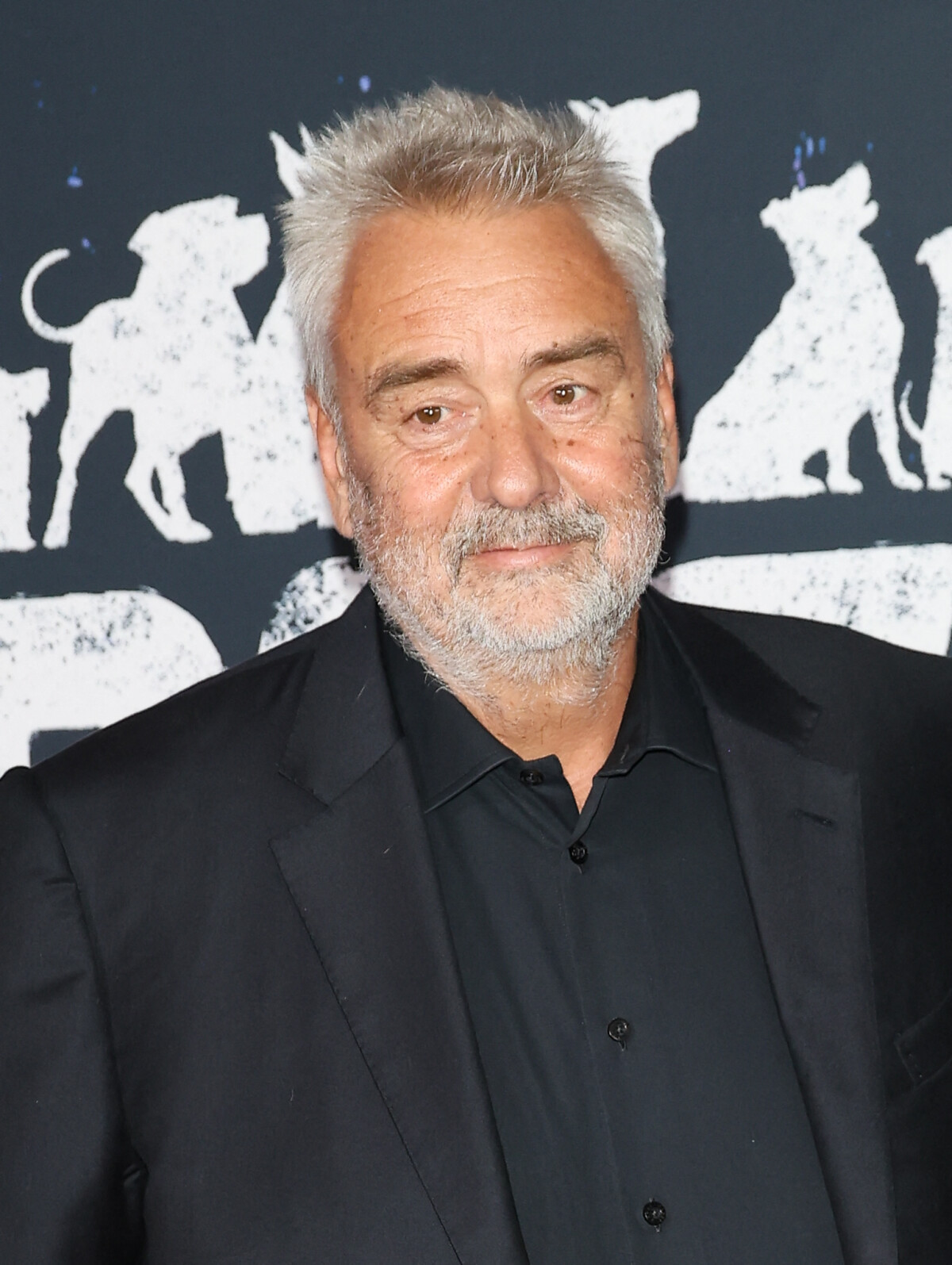 Photo : Luc Besson - Avant-première du film "Dogman" au cinéma UGC ...