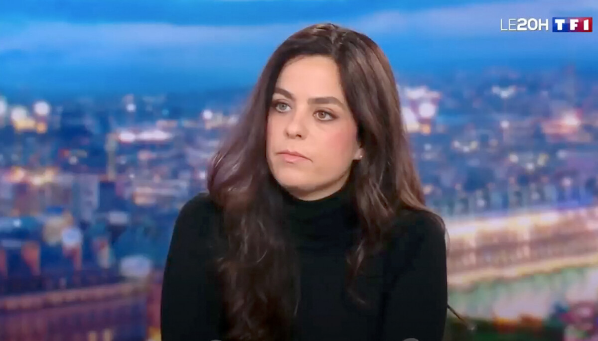 Photo Anthony Delon Laîné A Déposé Une Main Courante Contre Anouchka Quant à Alain Fabien