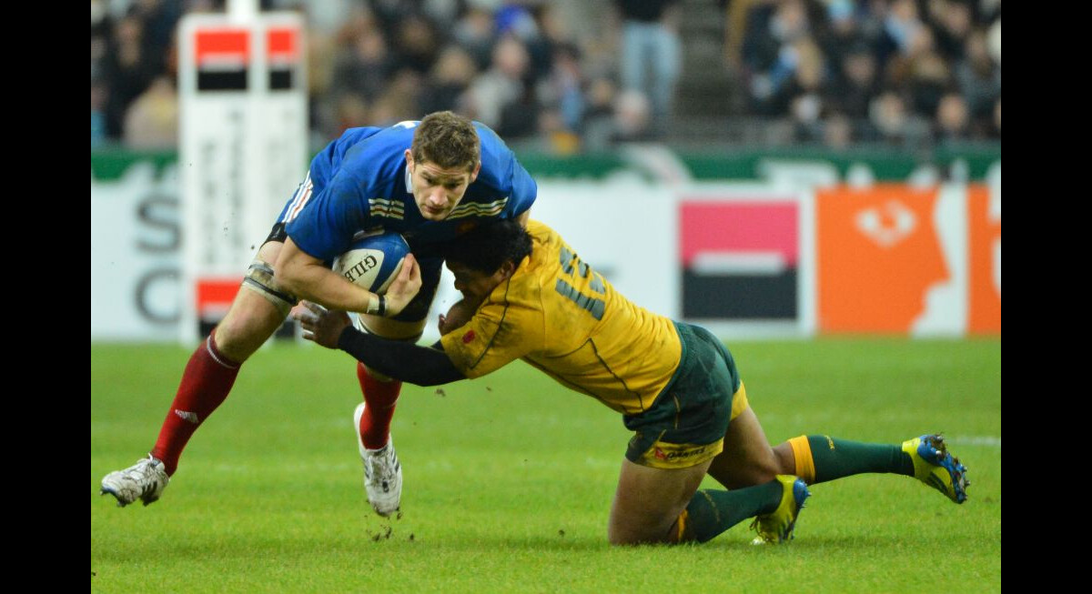 Photo : Pascal Papé lors du test match entre le XV de France et l ...