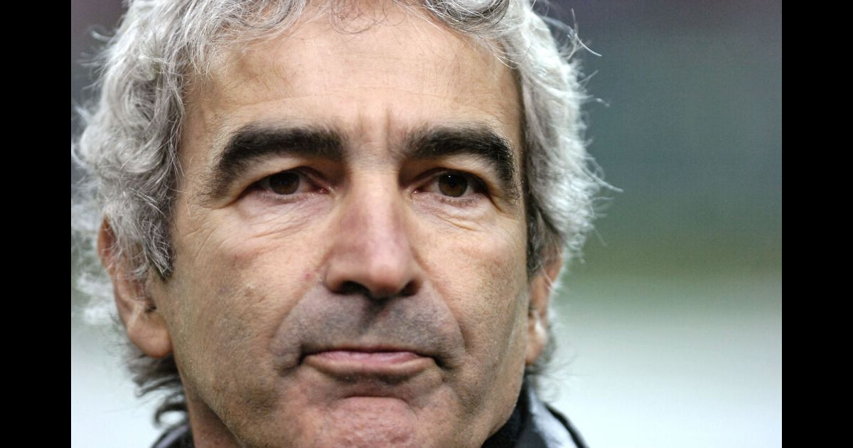 Raymond Domenech allume Anelka, Ribéry et les autres dans ses ...
