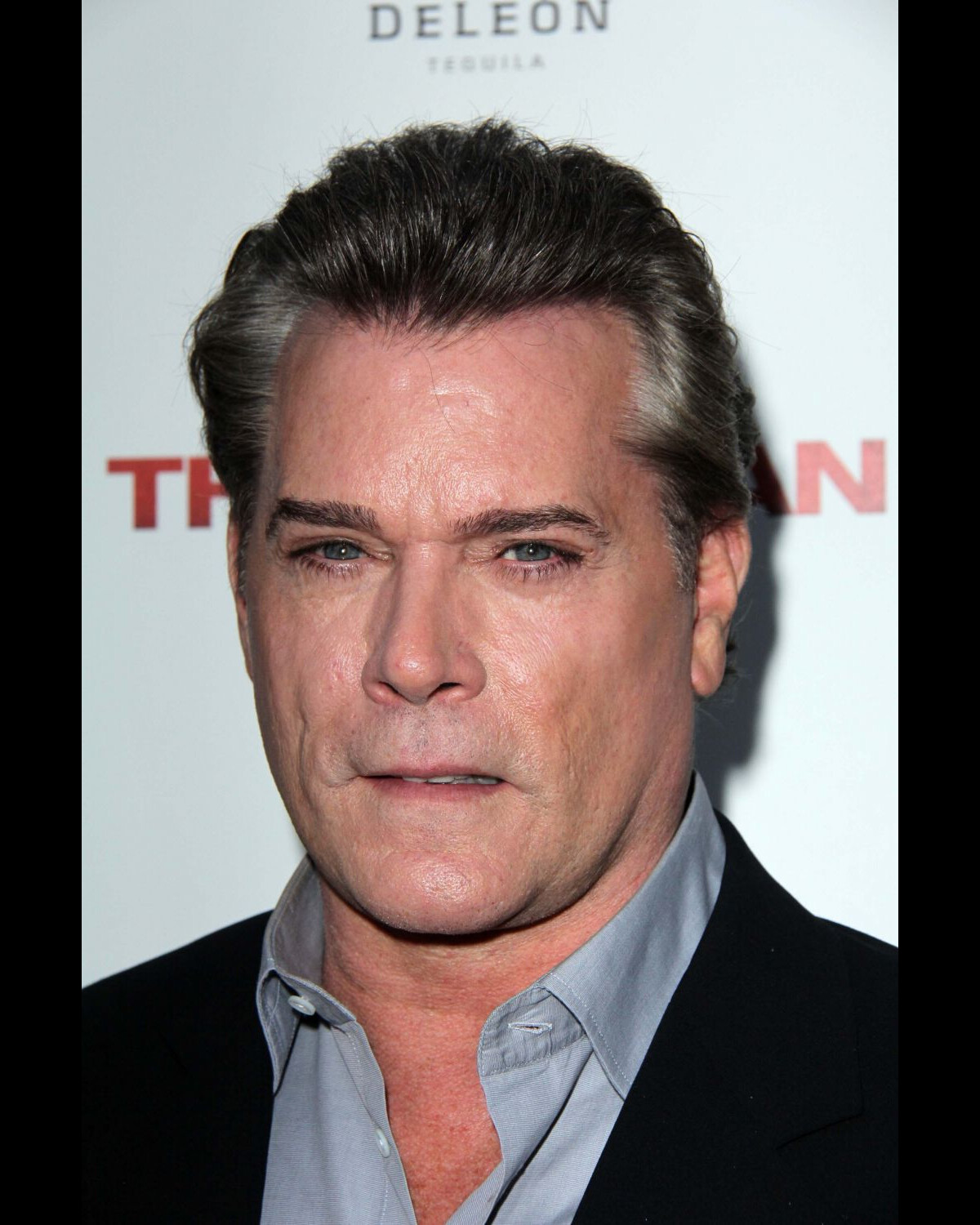 Photo : Ray Liotta lors de la première de The Iceman aux Arclight ...