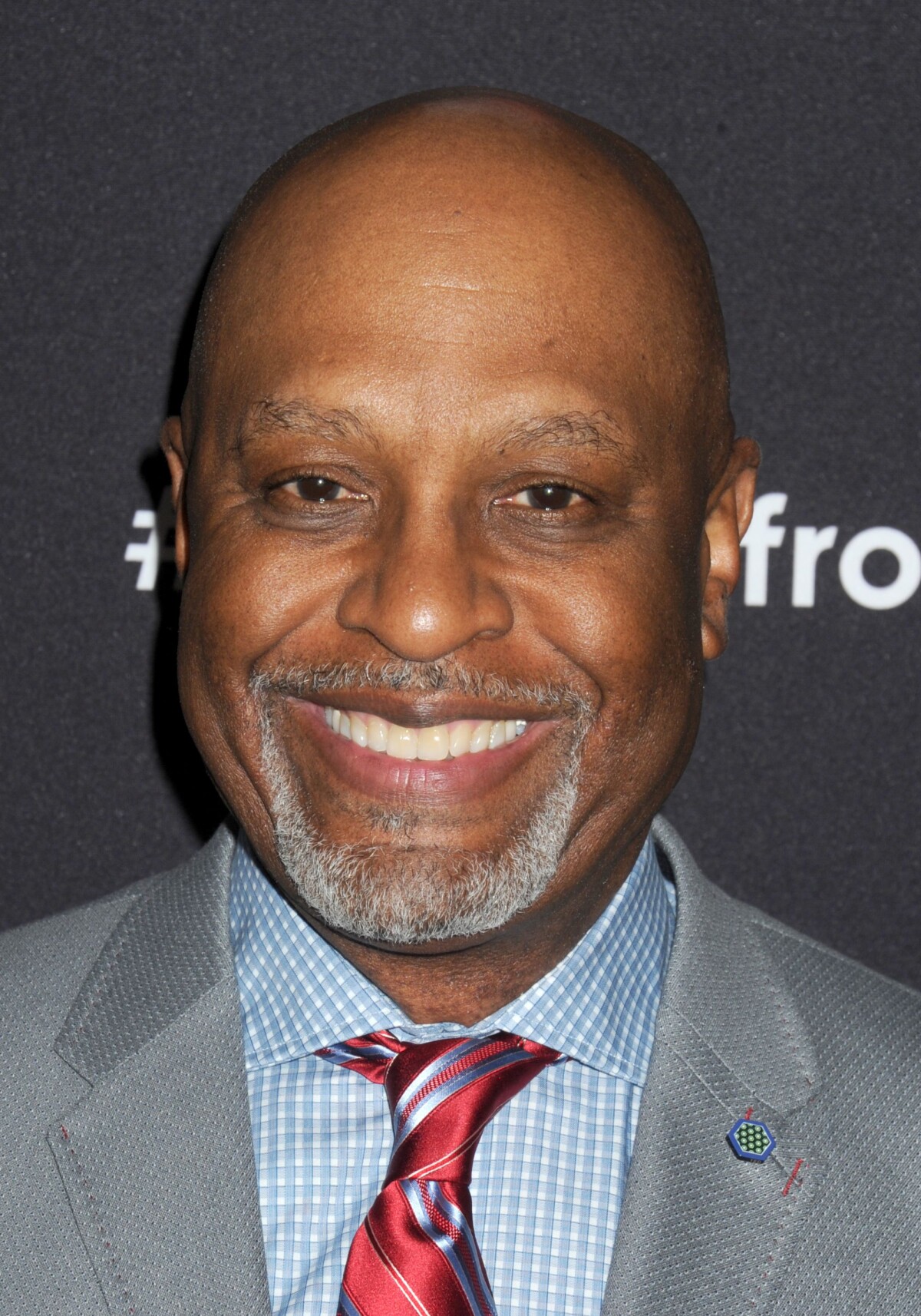 Photo : James Pickens Jr - Photocall de la soirée "2015 ABC upfront" au ...