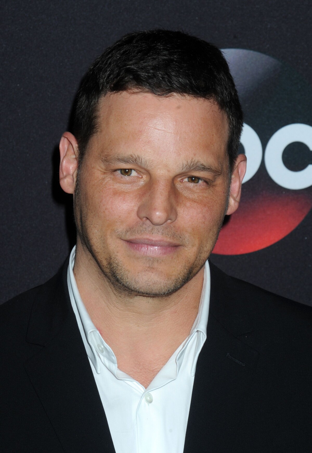 Photo : Justin Chambers - Photocall de la soirée "2015 ABC upfront" au ...