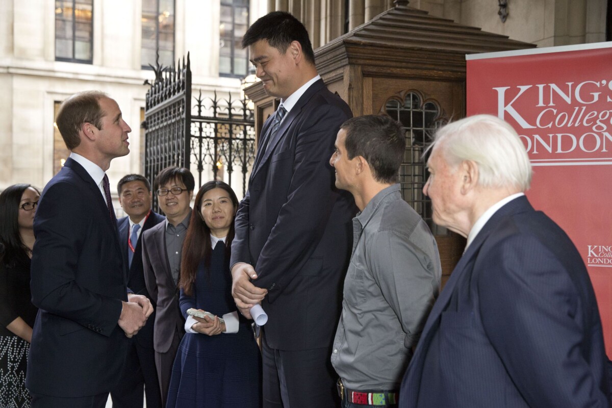 Photo : Le prince William saluant Yao Ming, son allié au sein de United ...