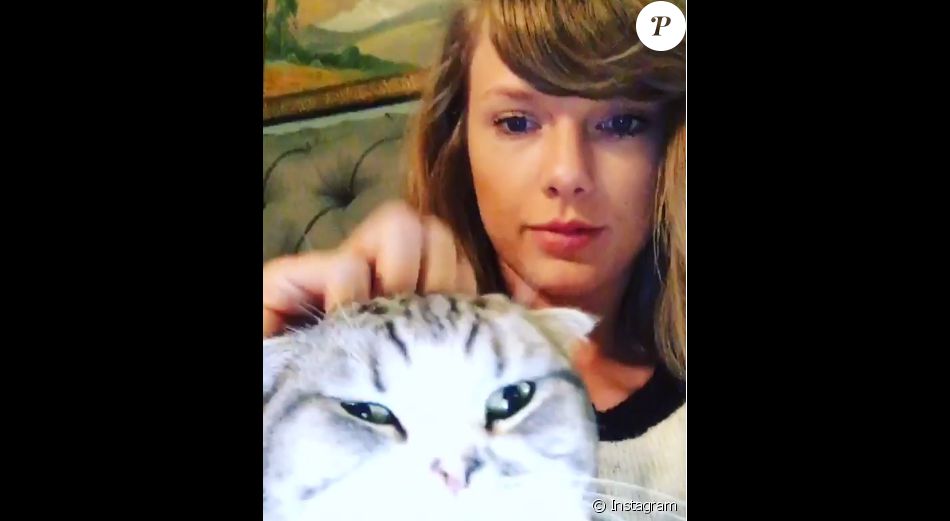 Taylor Swift caresse son chat Meredith Grey. Photo extraite d'une vidéo ...