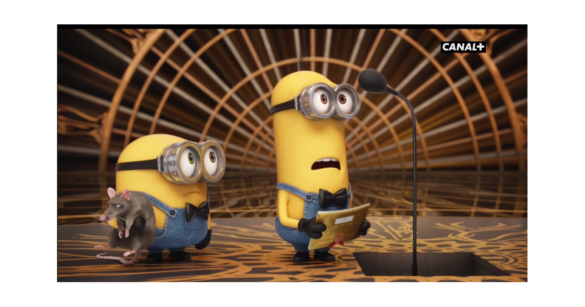 Les Minions annoncent l'Oscar du meilleur court d'animation pour Bear Story. - Purepeople