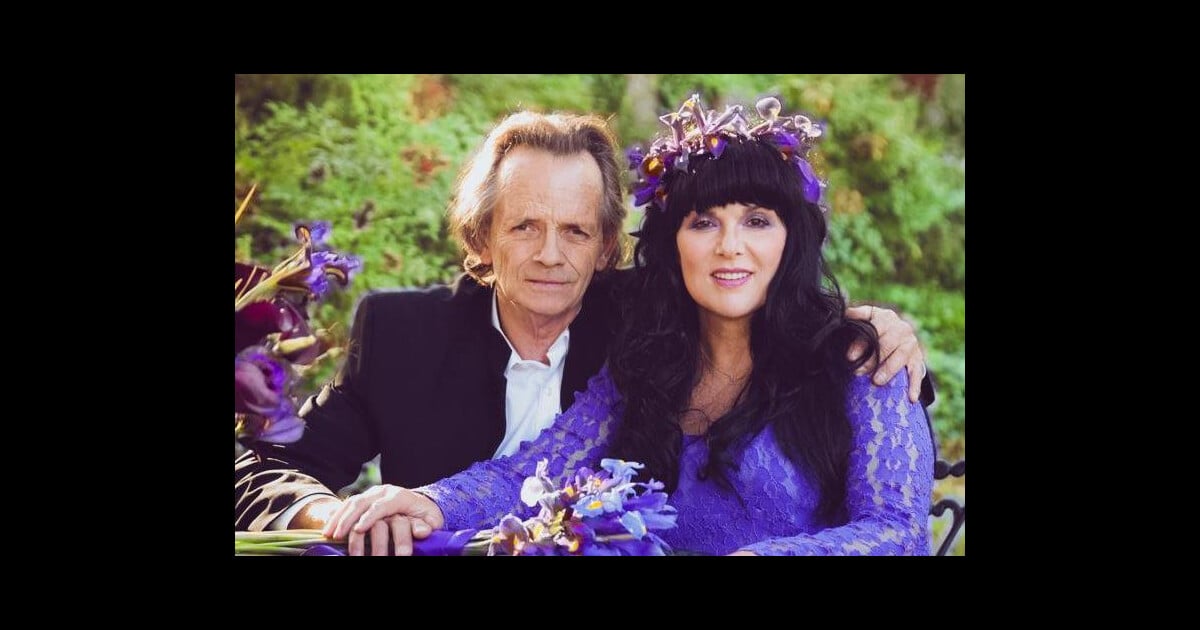 Ann Wilson (Heart) : Son mari tabasse ses neveux pendant son concert ...