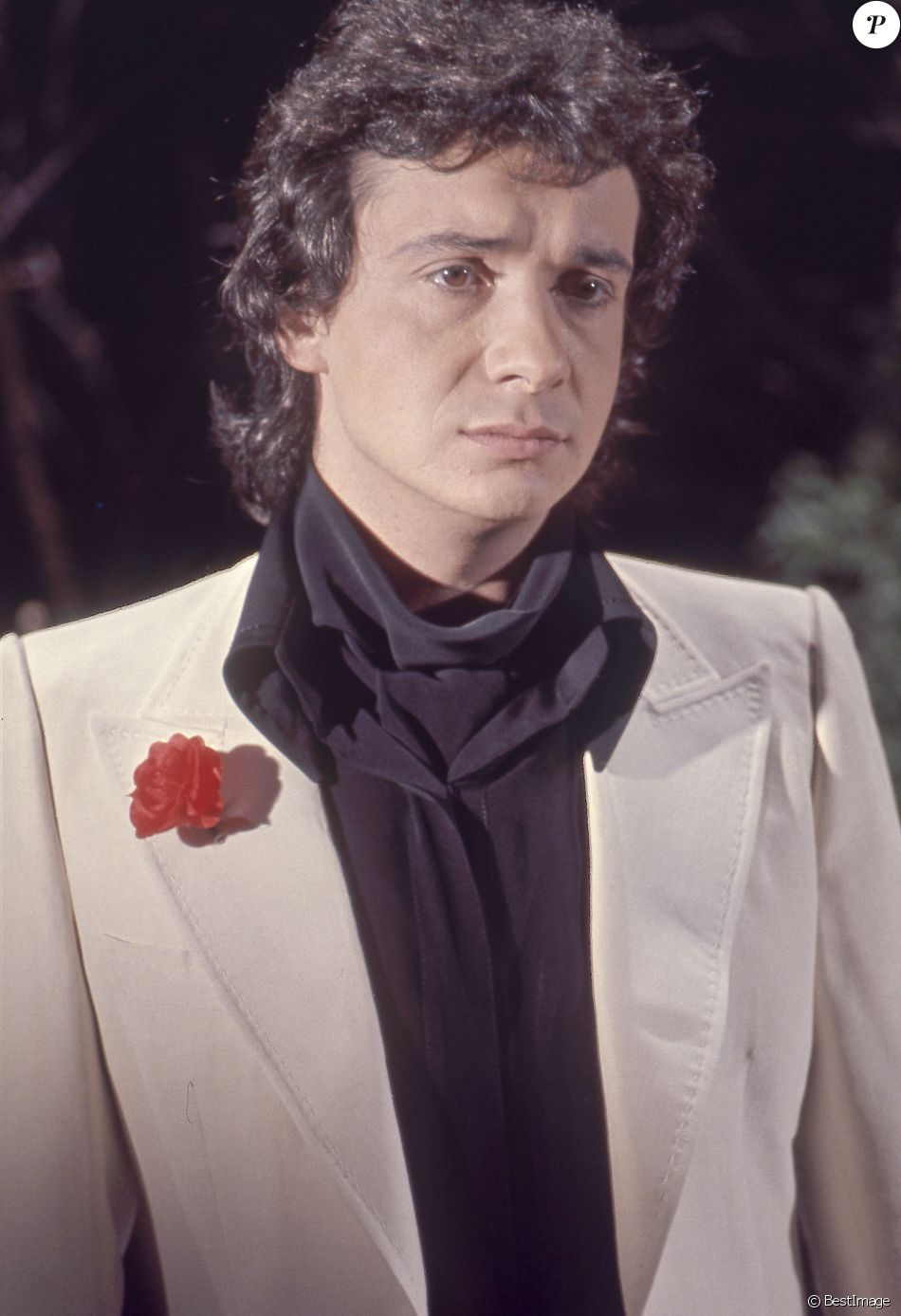 Michel Sardou, portrait en 1976. - Purepeople