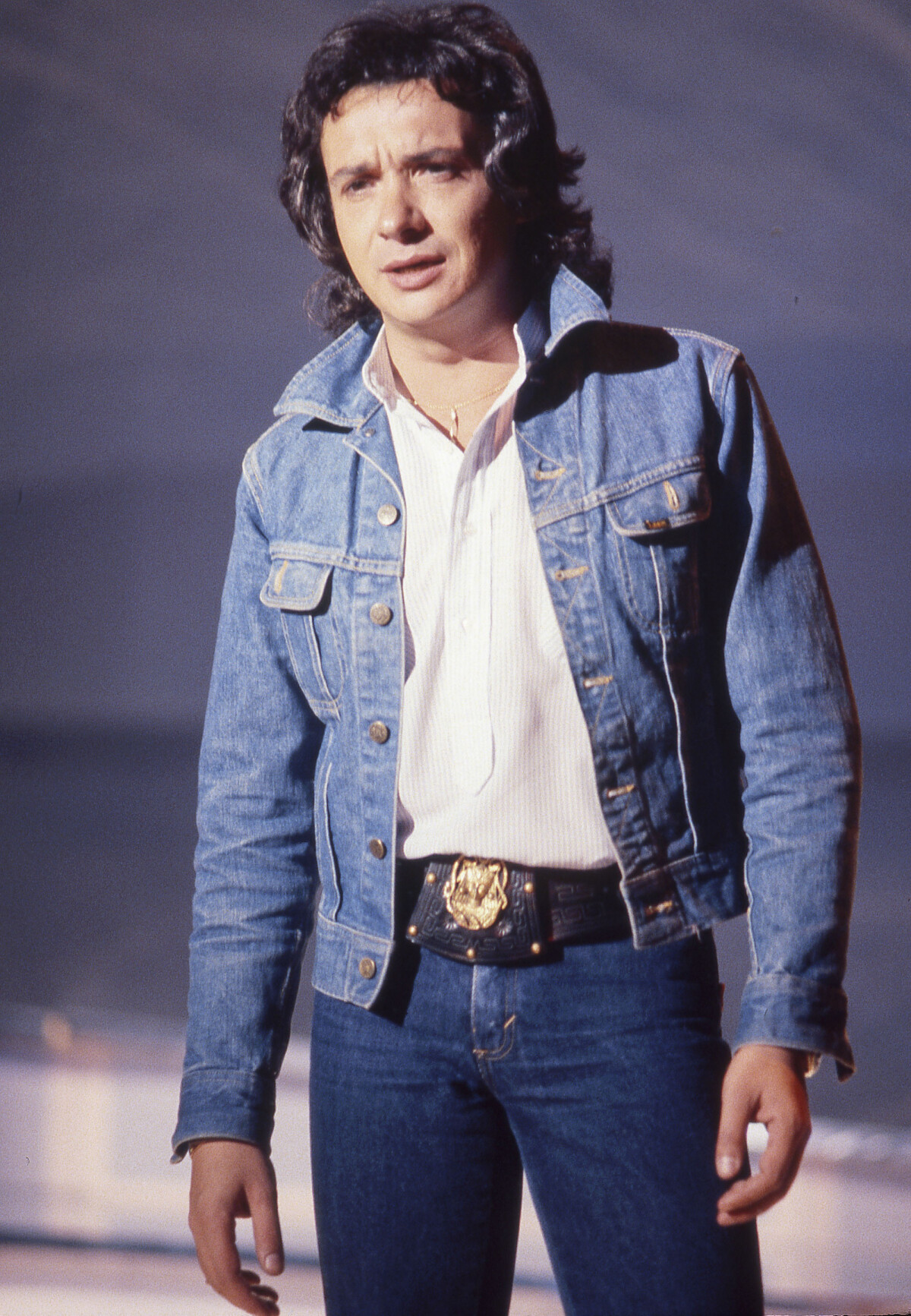 Photo : Michel Sardou, portrait en 1977. - Purepeople