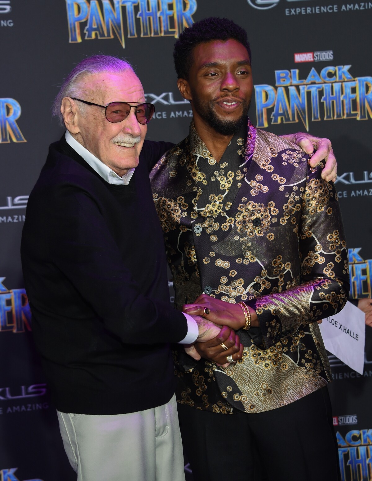Photo : Chadwick Boseman et Stan Lee à la première de "Black Panther" à ...