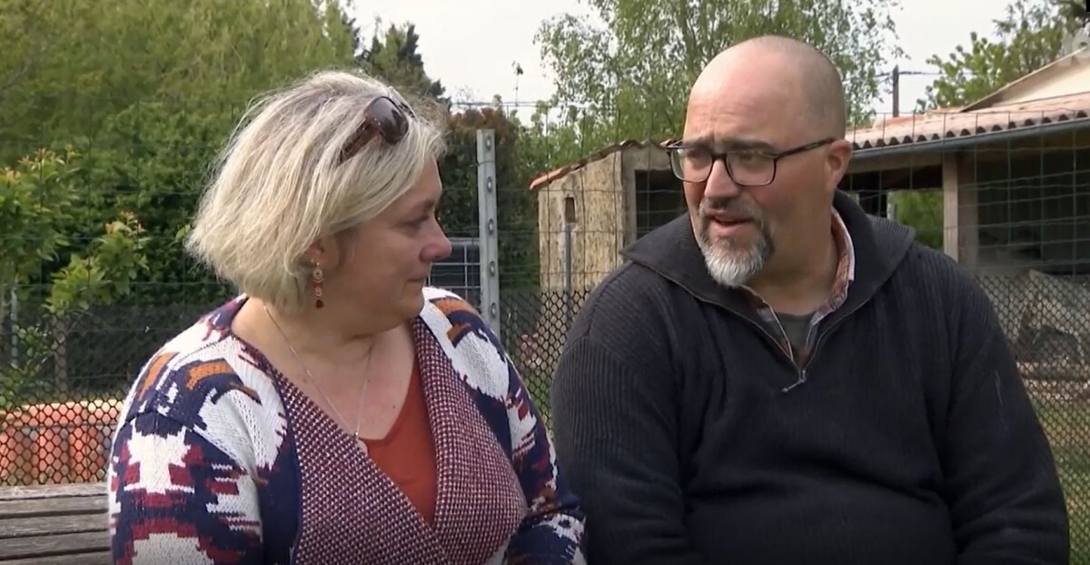 Vidéo : Franck et Cécile dans "L'amour est dans le pré", sur M6 ...