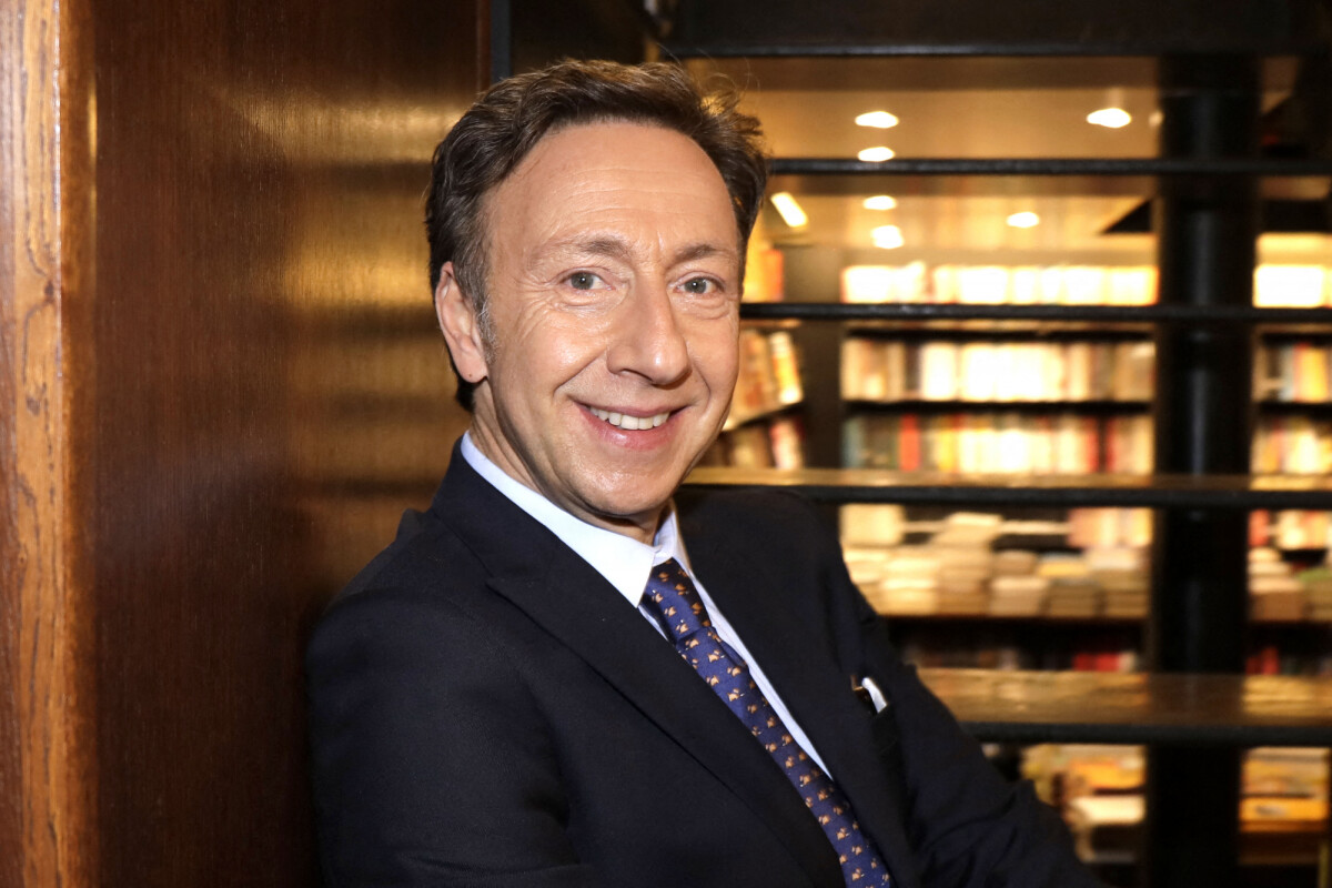 Photo : Portrait de Stéphane Bern. - Ode (Purepeople)