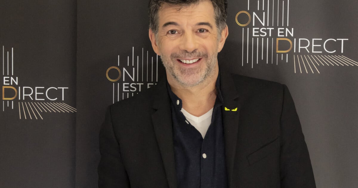 Stéphane Plaza : Gros changement pour son réseau d'agences immobilières ...