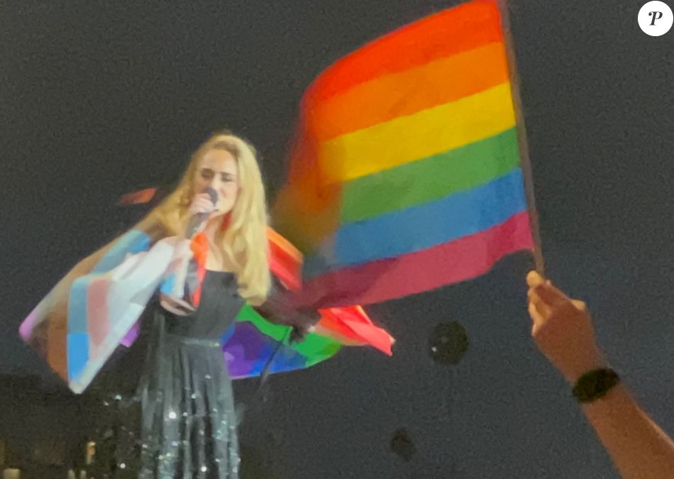 Adèle donne un concert à Hyde Park, en marge de la London Pride Parade ...
